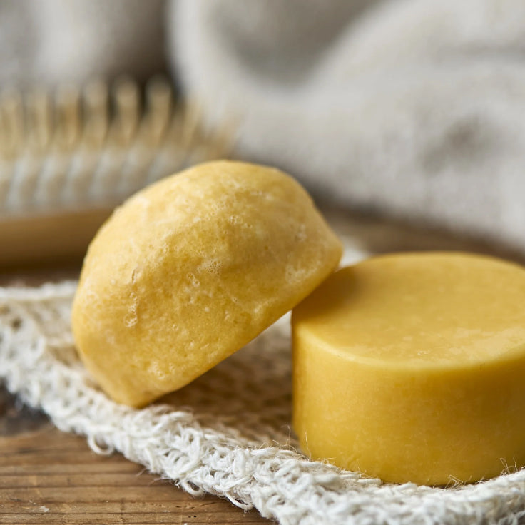 Sea buckthorn shampoo bar - from Kystnær – Amolia